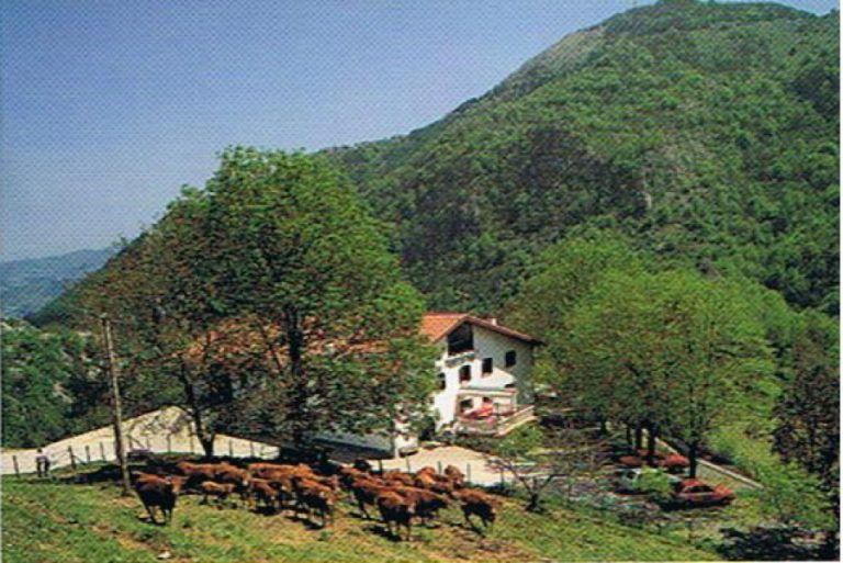 Where to eat | Urola Turismoa