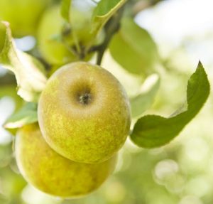 Get to know the Urola Valley | Urola Turismoa